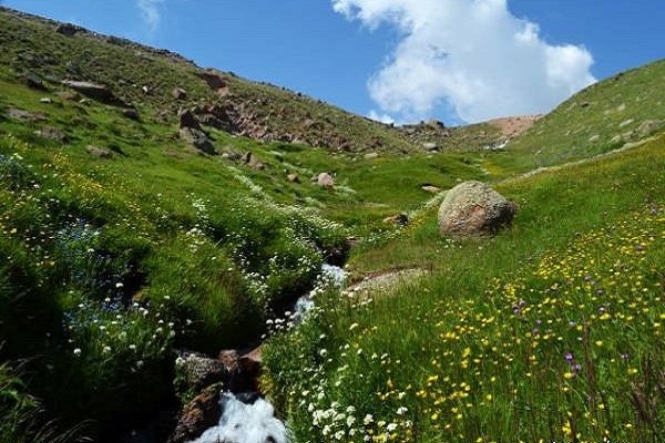 Sarein, city of magical springs – Honarbaan Magazine